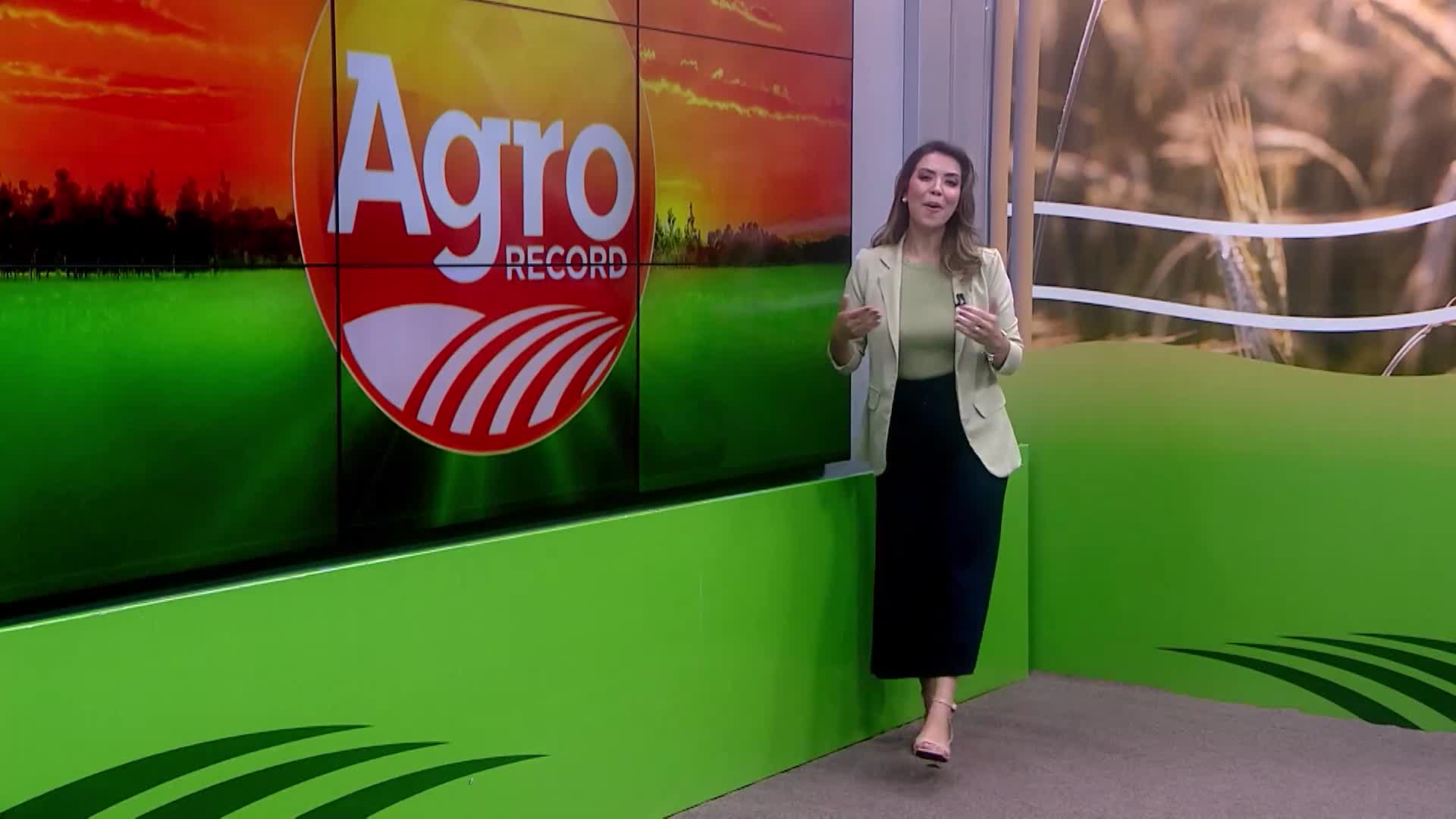Veja a íntegra do Agro Record deste domingo (15) - Brasília - R7 Agro ...