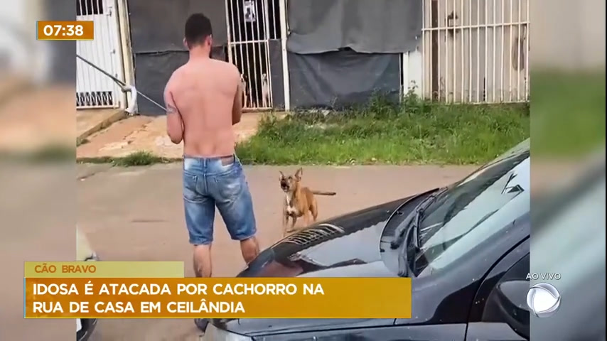 Idosa é atacada por cachorro na rua de casa em Ceilândia (DF) - Brasília - R7 DF no Ar