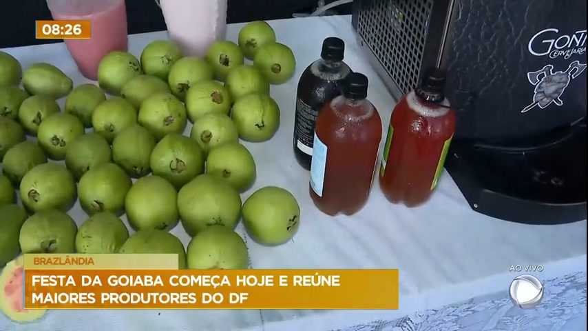 Festa da goiaba em Brazlândia (DF) começa nesta sexta-feira - Brasília ...
