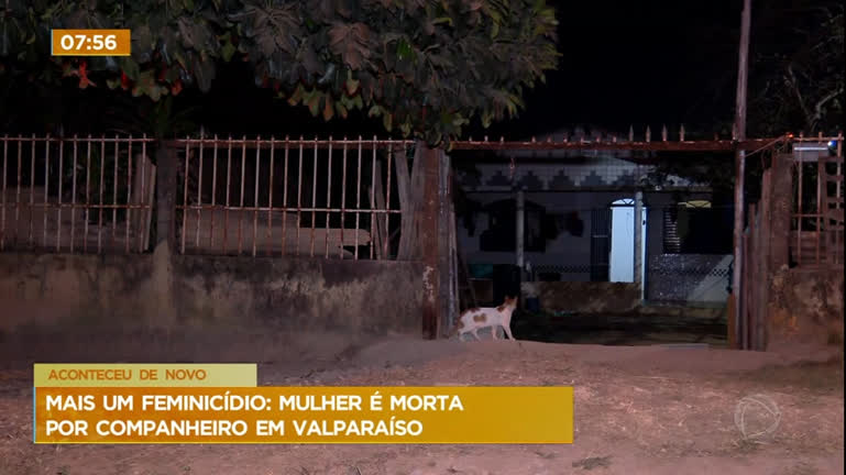 Homem Mata Mulher A Facadas Na Frente Da Filha No Entorno Do Df