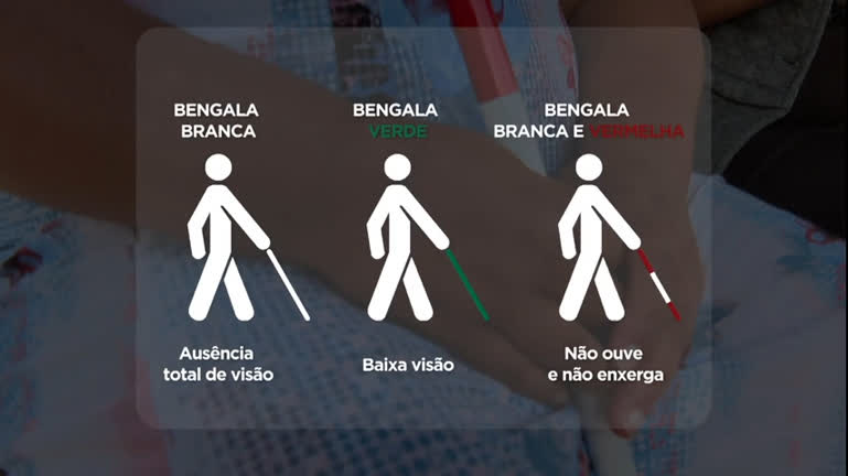 Lei cria campanha de esclarecimento e divulgação das cores da bengala ...