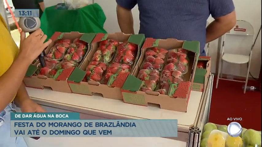 Festa do Morango de Brazlândia reúne shows, atrações e gastronomia ...