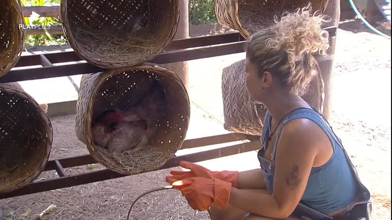 Bárbara leva susto com pulo de galinha | A Fazenda 14 - A Fazenda 14 ...