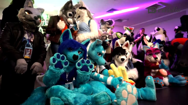 Furries : quem são os adultos que se vestem de bicho? - Notícias - R7 ...