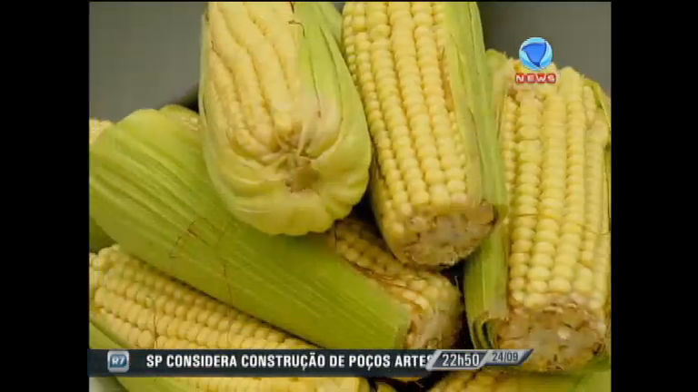Zapping mostra os mitos e verdades do milho - Record News - R7 Zapping