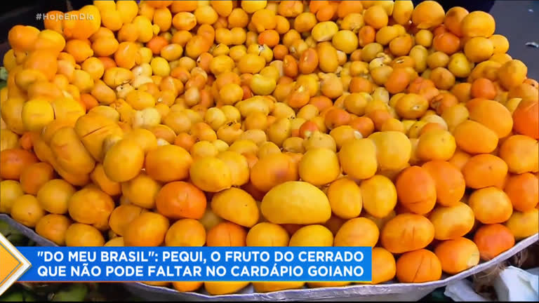 Do Meu Brasil mostra como o pequi é apreciado no cardápio goiano ...